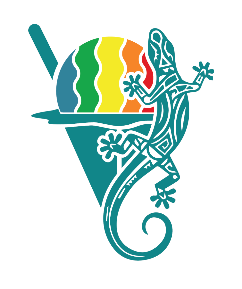 Find Out More About Us and Our History - Gecko Girlz