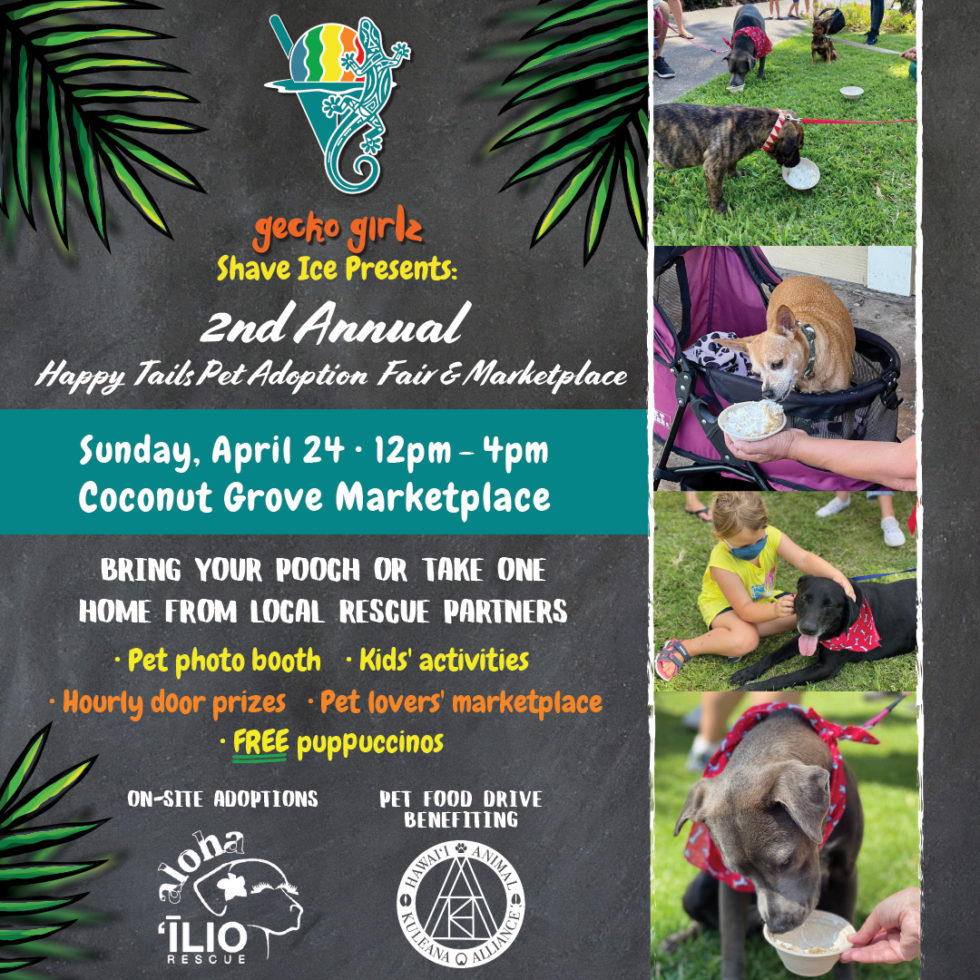 2022 Pet Adoption Fair - Gecko Girlz Shave Ice & Ice Cream Shop