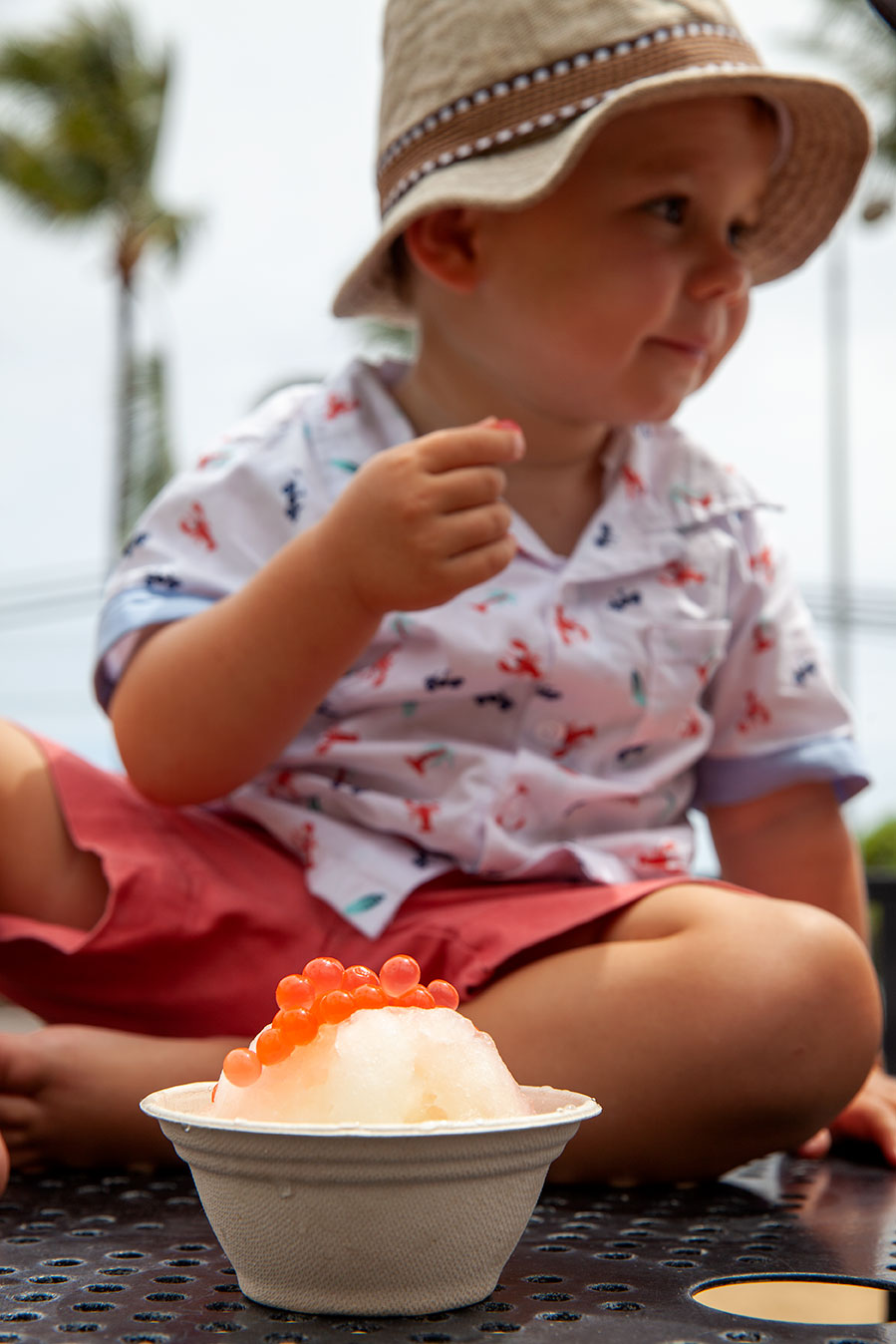 Family-Friendly Desserts in Kona, Waikoloa & Waikiki: Gecko Girlz