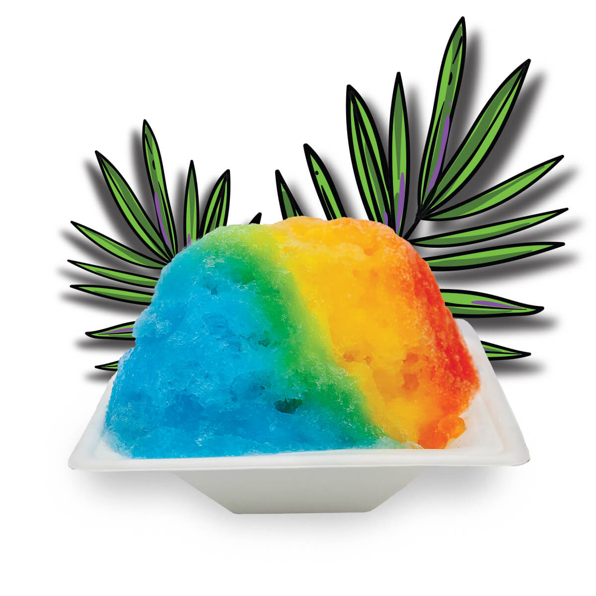 Hawaiian Shave Ice | Kailua-Kona, Big Island | Gecko Girlz