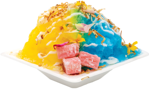 Shave Ice - Hawaiian Style and Artisanal creations - Gecko Girlz