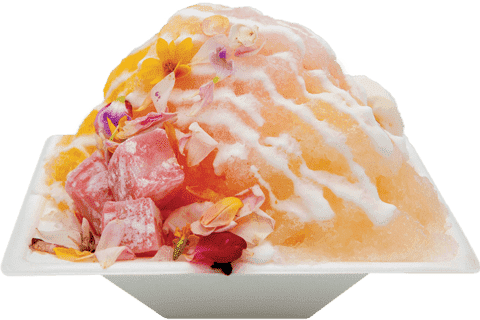 Gecko Girlz | Authentic Hawaiian Shave Ice & Ice Cream — Kona, Waikiki ...