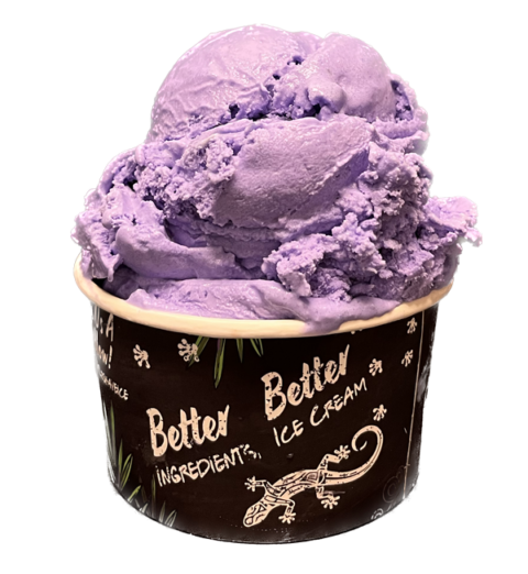 Gourmet Ice Cream and Sundae Menu - Gecko Girlz