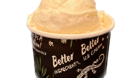 Gourmet Ice Cream and Sundae Menu - Gecko Girlz