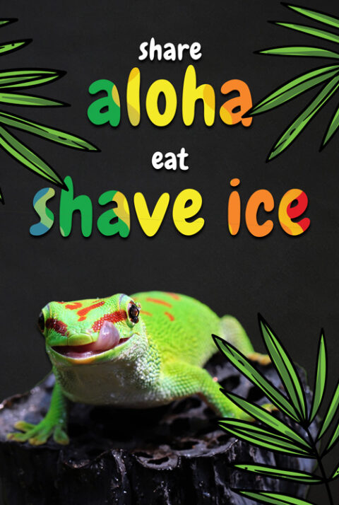 Hawaiian Shave Ice Menu | Gecko Girlz — Kona, Waikiki & Waikoloa, Hawaii