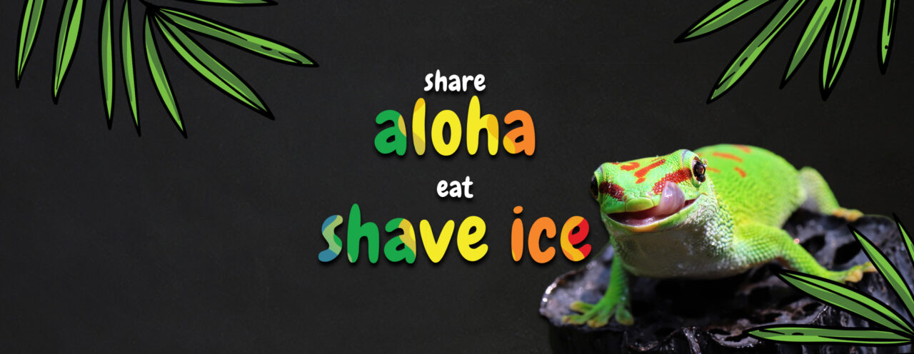 Hawaiian Shave Ice Menu | Gecko Girlz — Kona, Waikiki & Waikoloa, Hawaii